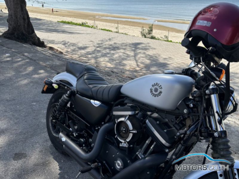 HARLEY DAVIDSON Sportster XL883 (2021) | Motors.co.th